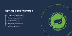 Pros and Cons of Using Spring Boot - Bamboo Agile